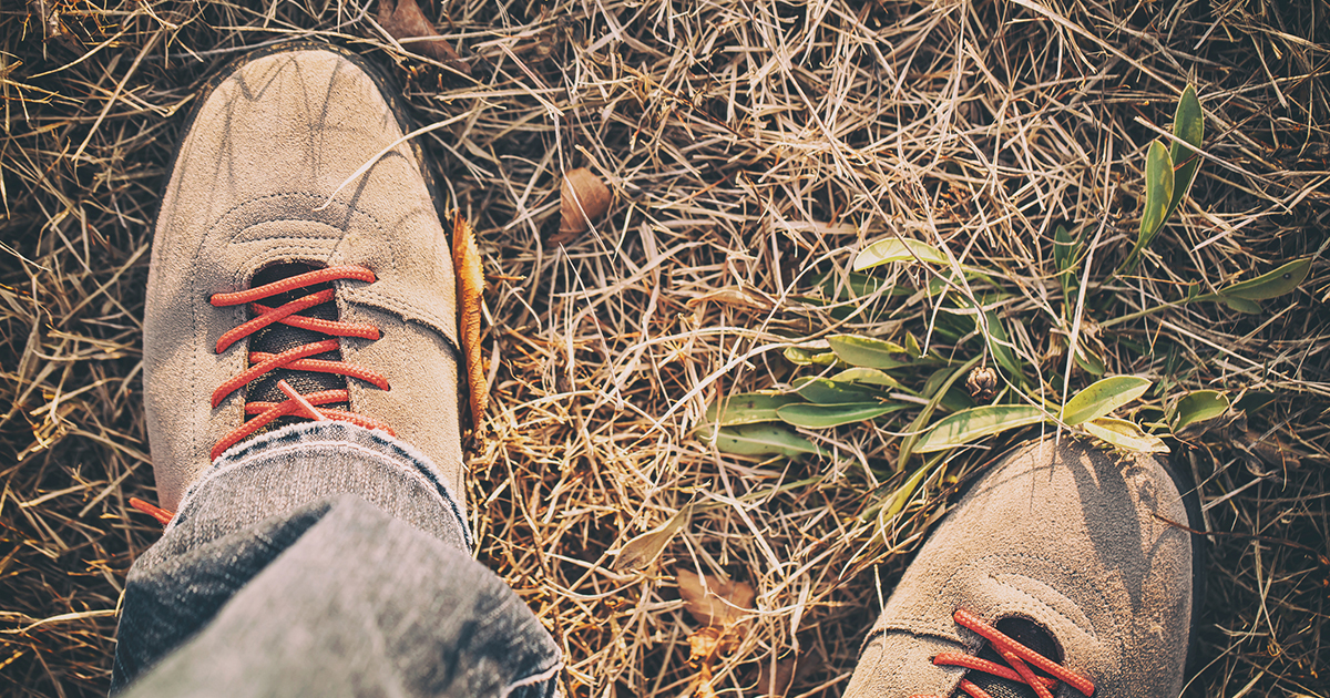 How to Stay Grounded When the World Feels Overwhelming